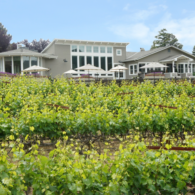 Wrights Station Winery - Handcrafted Wines in the Santa Cruz Mountains.