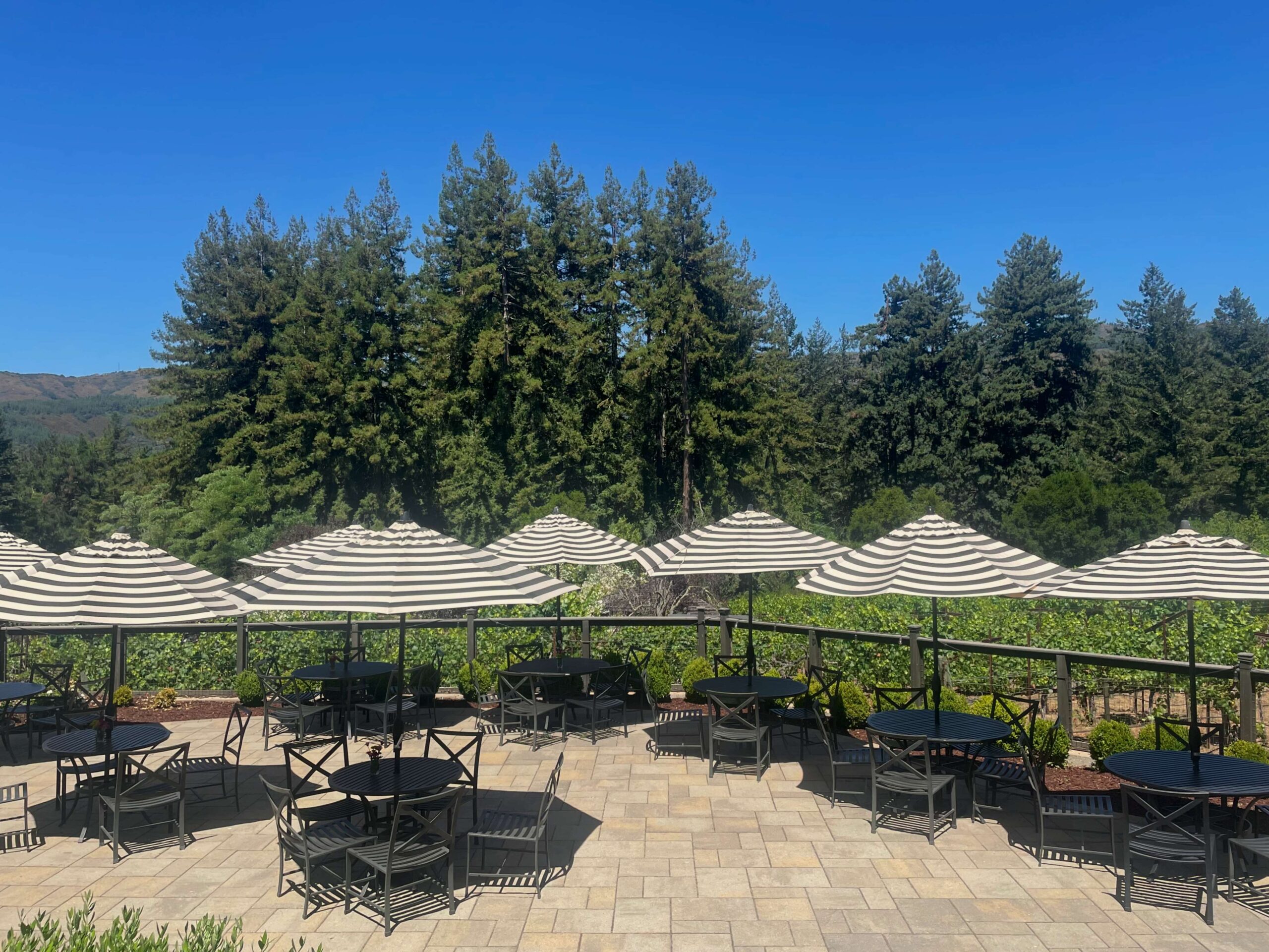 Visit - Wrights Station Winery